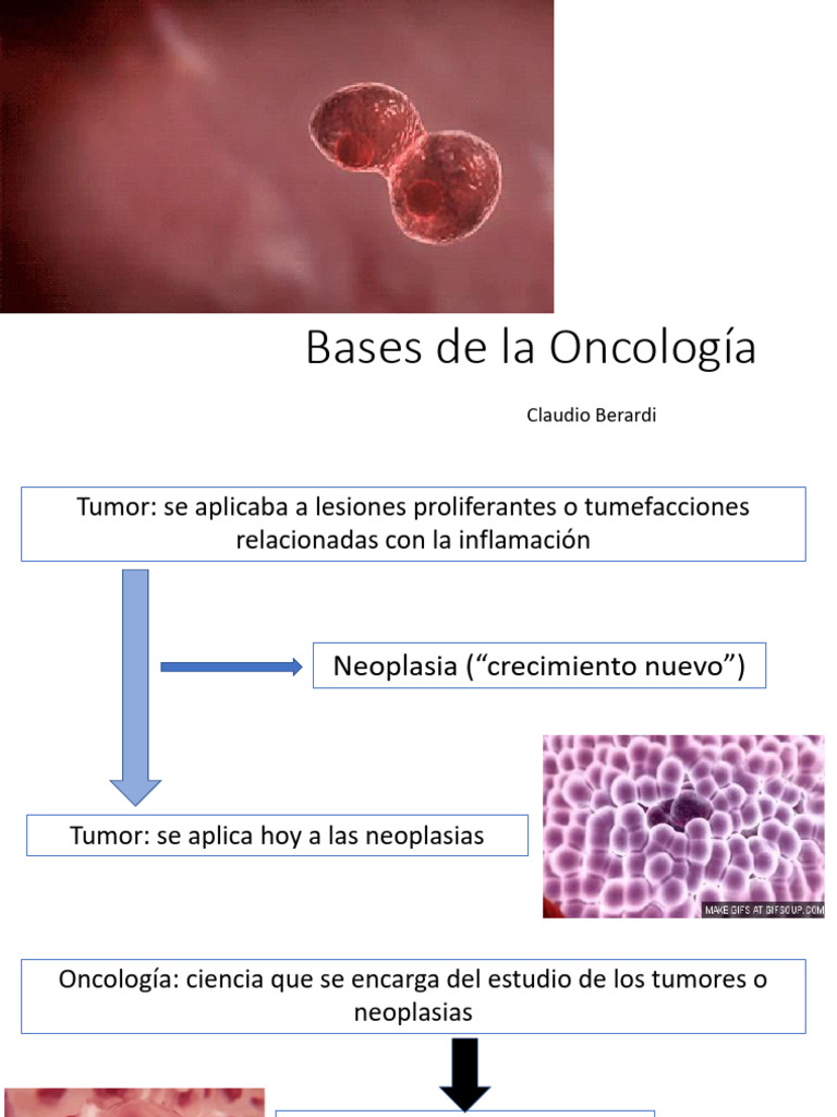 Bases de La Oncología | PDF | Metástasis | Neoplasias