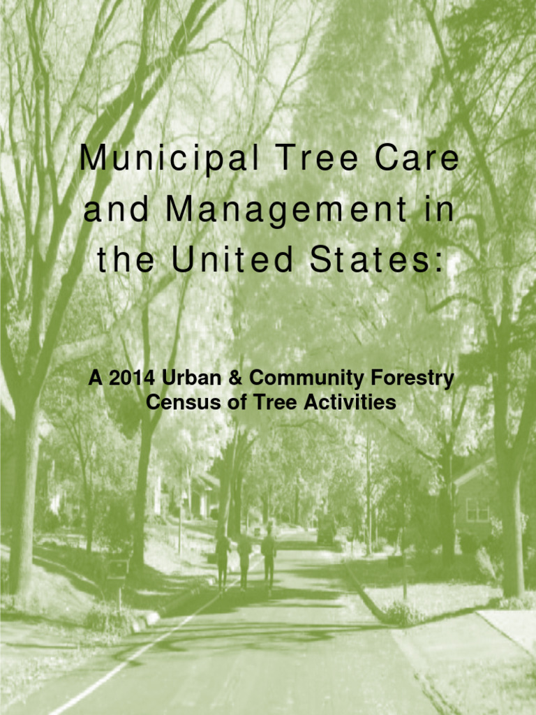 6.municipal Tree Care | PDF | Forestry