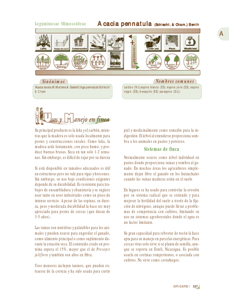 Acacia Pennatula | PDF | Semilla | Plantas