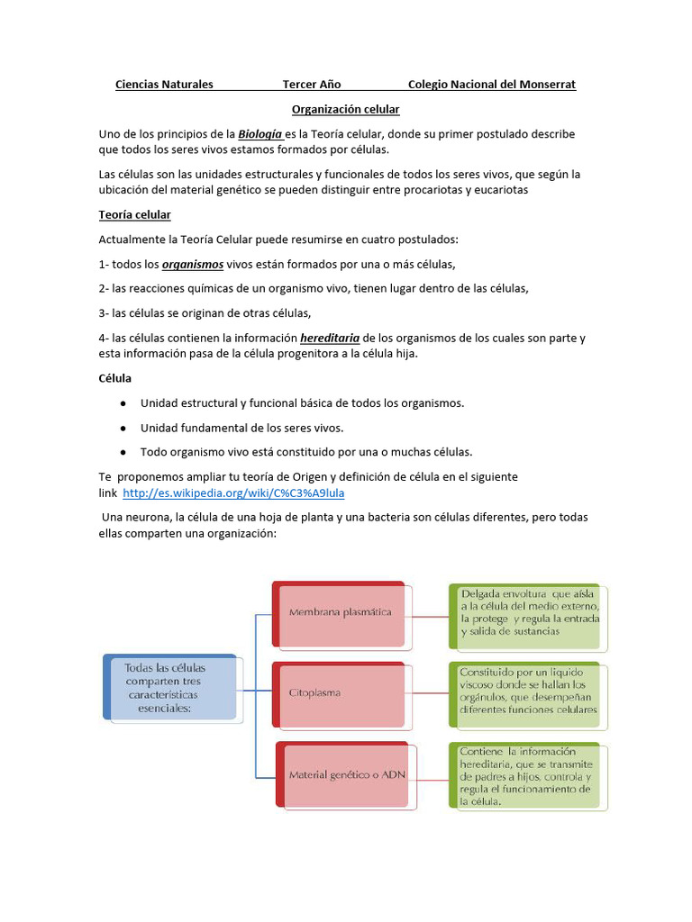 Teoría Celular y Tipos de Células | PDF | Biología Celular) | Citoplasma