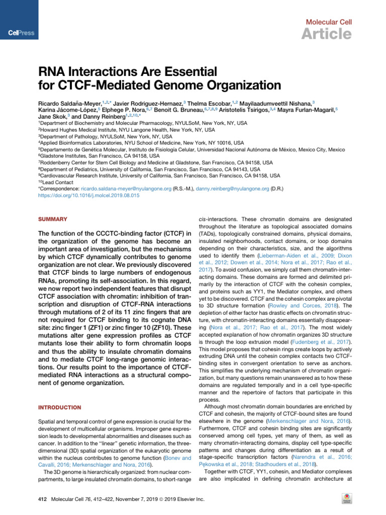 Saldana Et Al - 2019 - Molecular Cell - RNA Interactions Are Essential For CTCF Mediated Genome ...