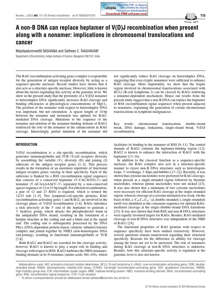 A Non-B DNA Can Replace Heptamer of V (D) J Recombination When Present Along With A Nonamer ...
