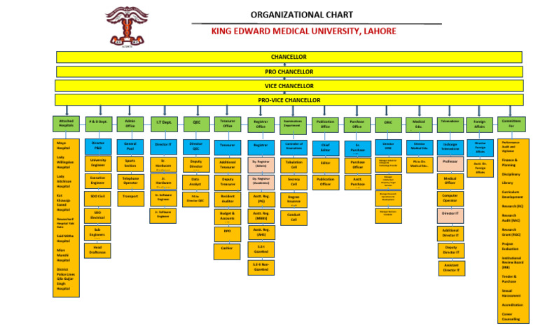 KEMU Organizational Chart Overview | PDF | Engineering | Business