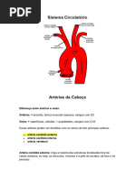 Forames do Crânio e suas Funções | PDF | Neuroanatomia | Anatomia humana