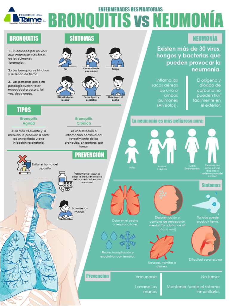 Comparativa: Bronquitis y Neumonía | PDF | Neumonía | Bronquitis