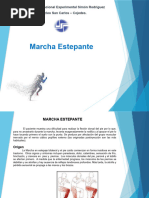Marcha Steppage: Causas y Tratamiento | PDF | Electromiografia ...