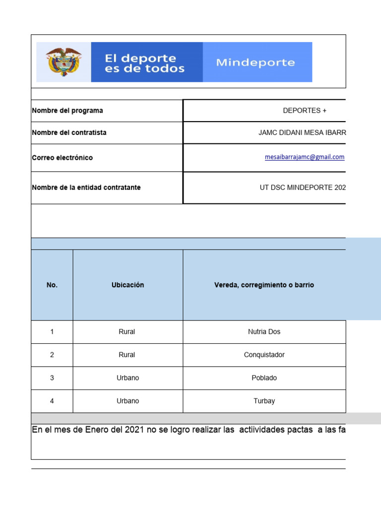 Formato Informe Técnico Mensua Jamc Didani Mesa - EnERO | PDF