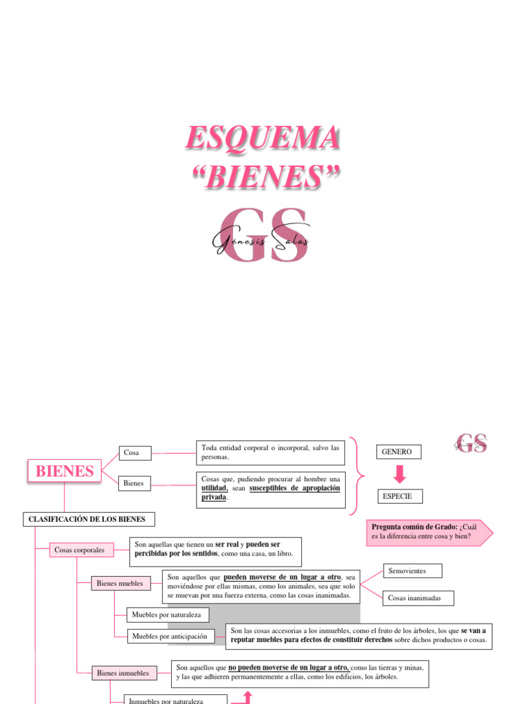 Esquema Bienes | PDF | Posesión (Ley) | Propiedad