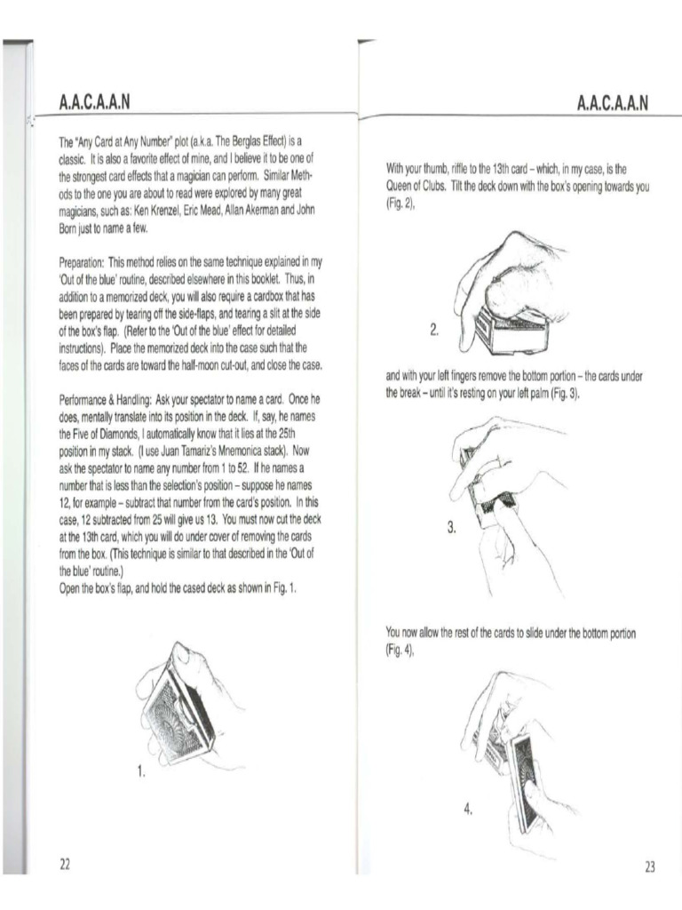 Asi Wind - ACAAN | PDF