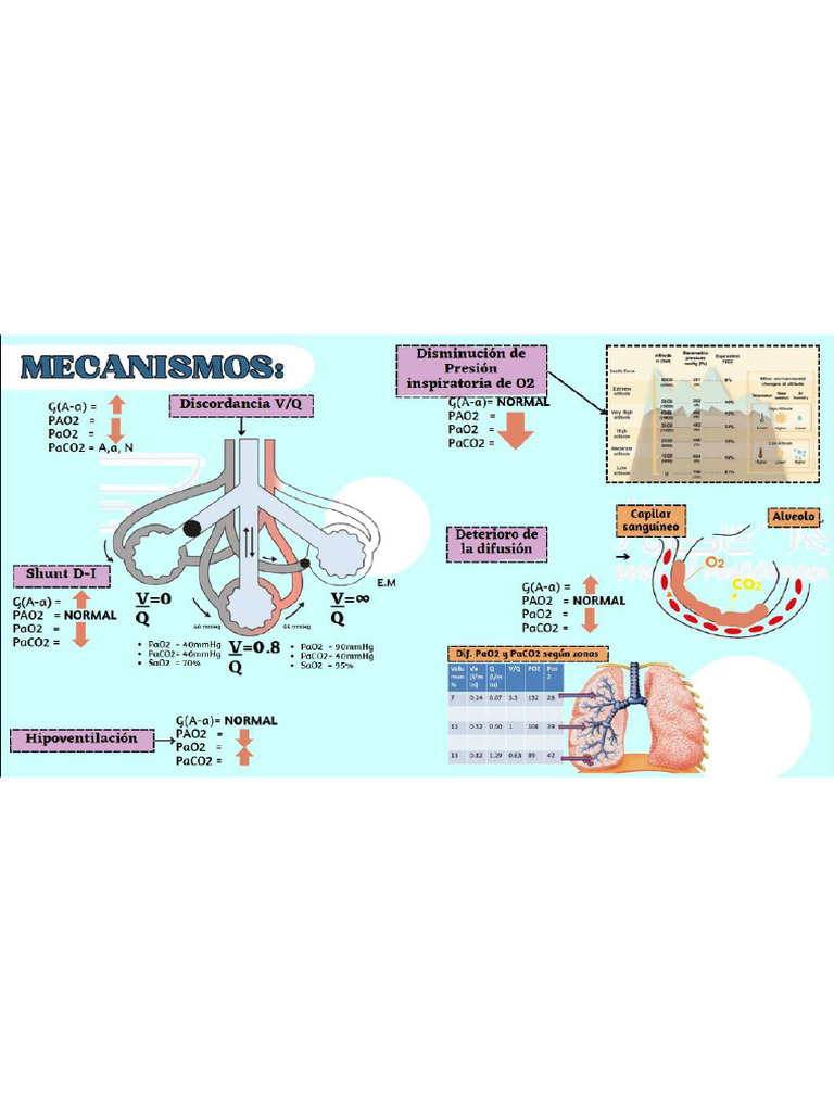 5 Mecanismos de Hipoxemia | PDF