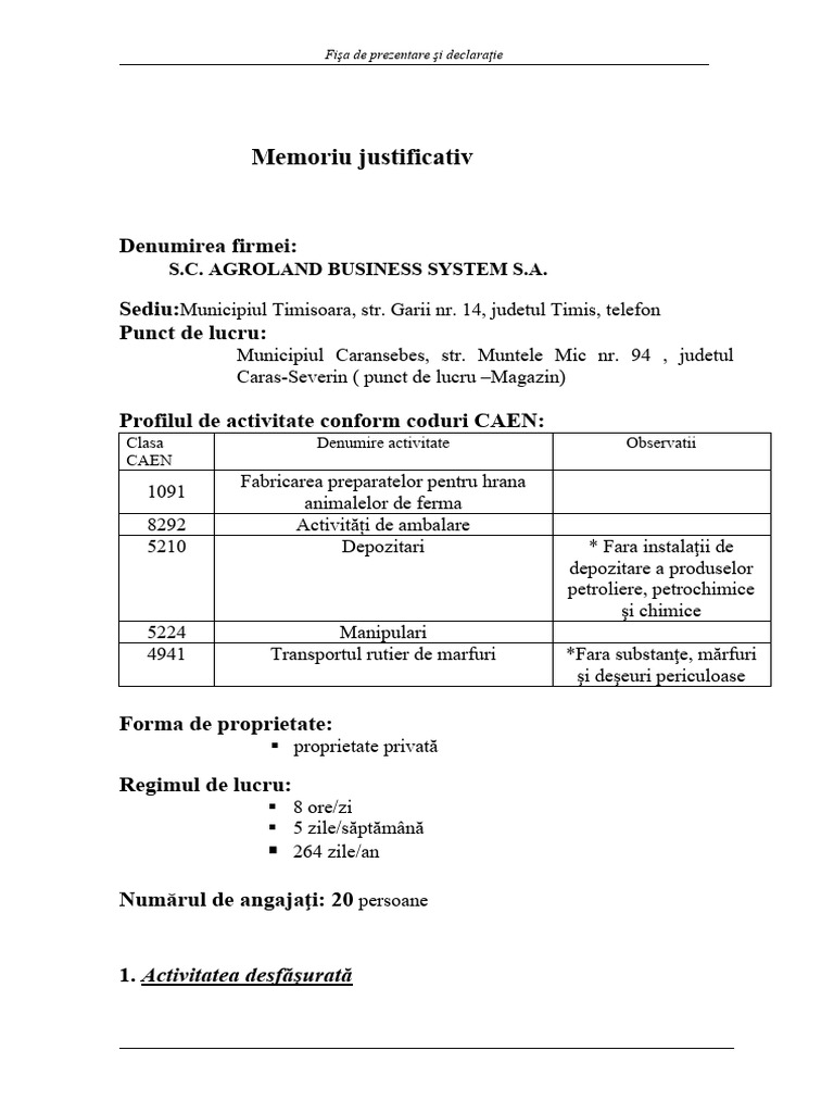 Memoriu DSV | PDF