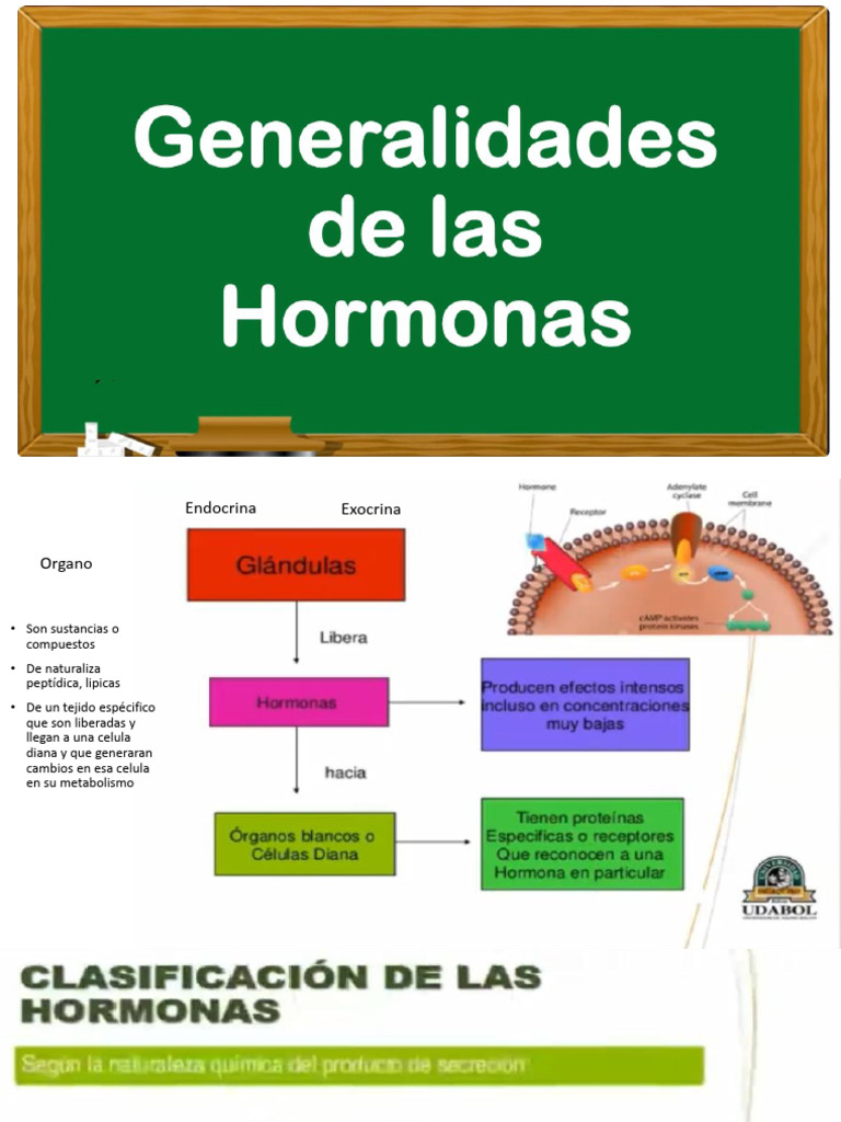 Tipos y Funciones de las Hormonas | PDF | Hormona | Glándulas