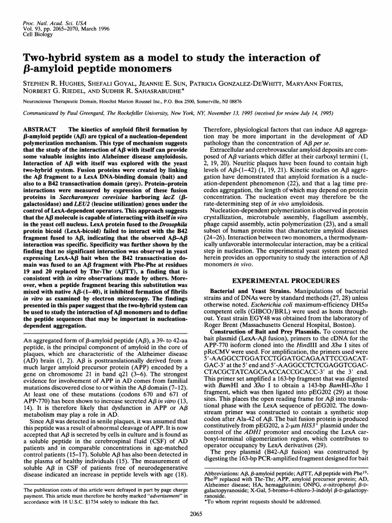 Hughes 1996 | PDF | Protein–Protein Interaction | Amyloid