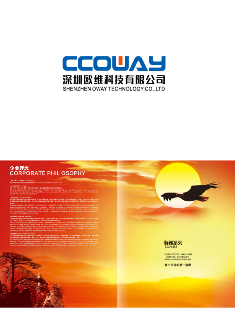 Oway Scales Catalogue2023 | PDF