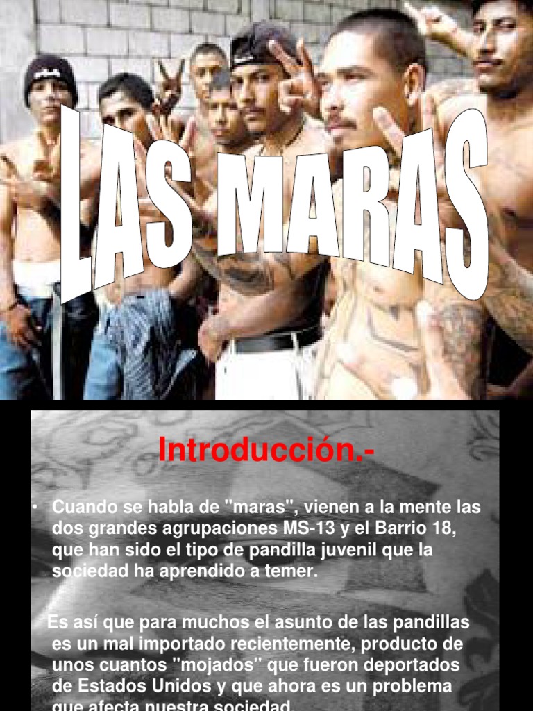 Análisis de las Maras en Honduras | PDF | Sra. 13 | Justicia penal