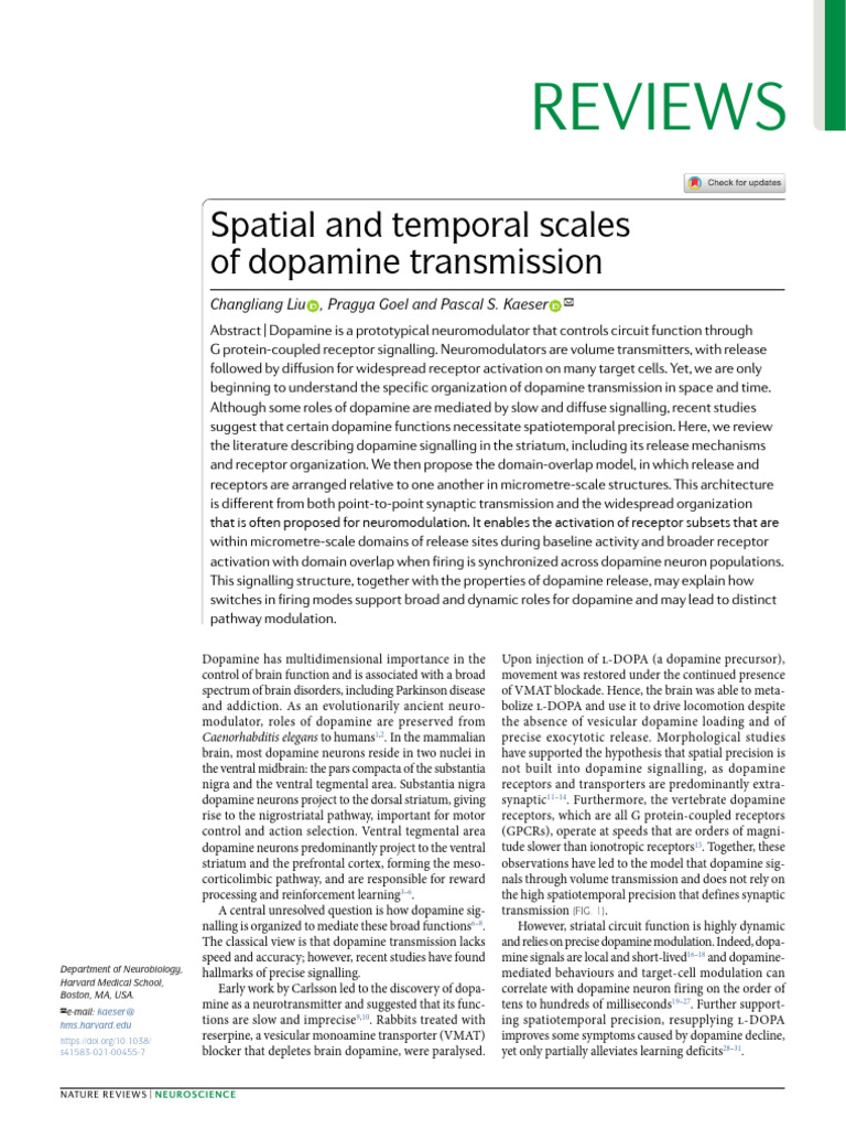 Spatial and Temporal Scales of Dopamine Transmission | PDF | Chemical Synapse | Dopamine
