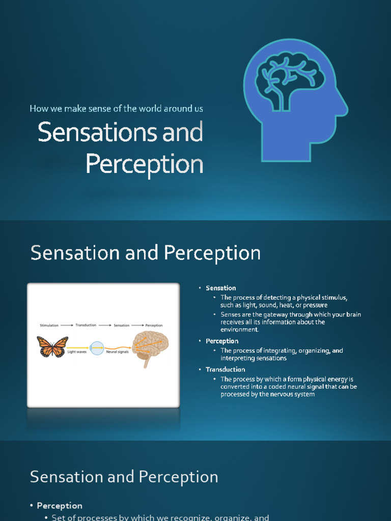 Understanding Sensation & Perception | PDF