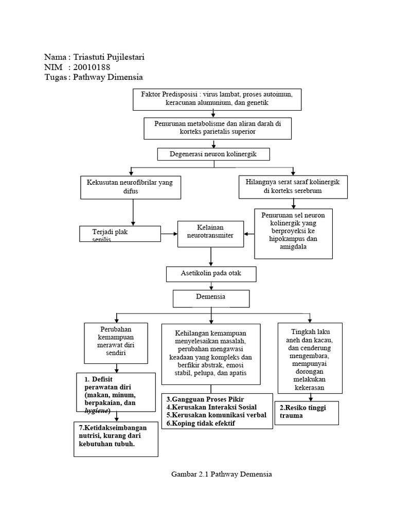 Pathway Dimensia Triastuti P | PDF