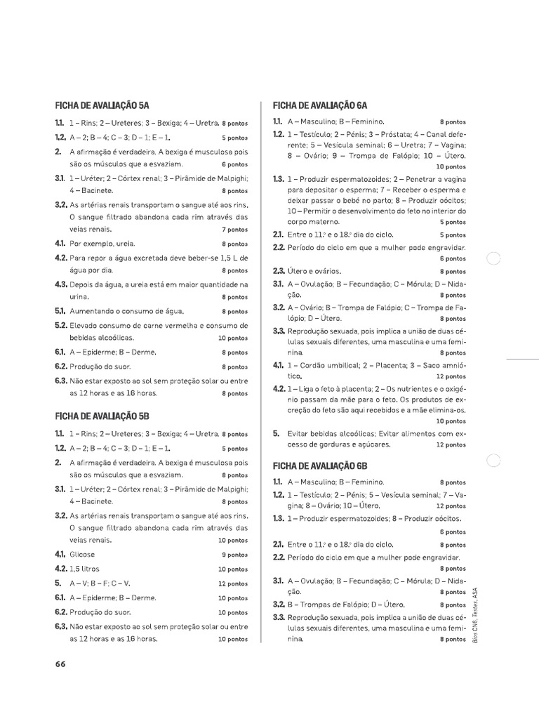 6CN 9 FTesteA S. Reprodutor Humano Sol | PDF