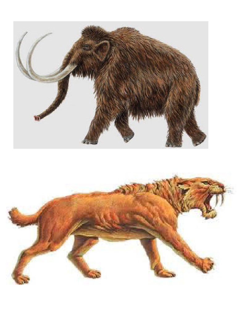 Mamut Diente de Sable | PDF