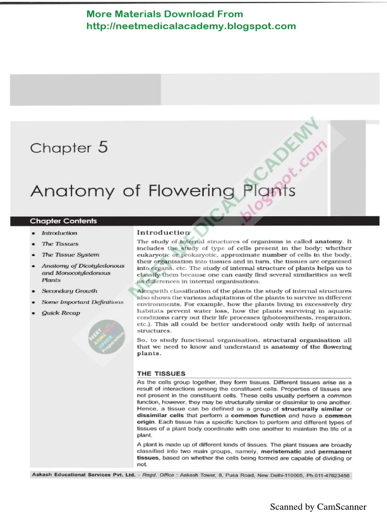 5.Anatomy of flowering plants | PDF