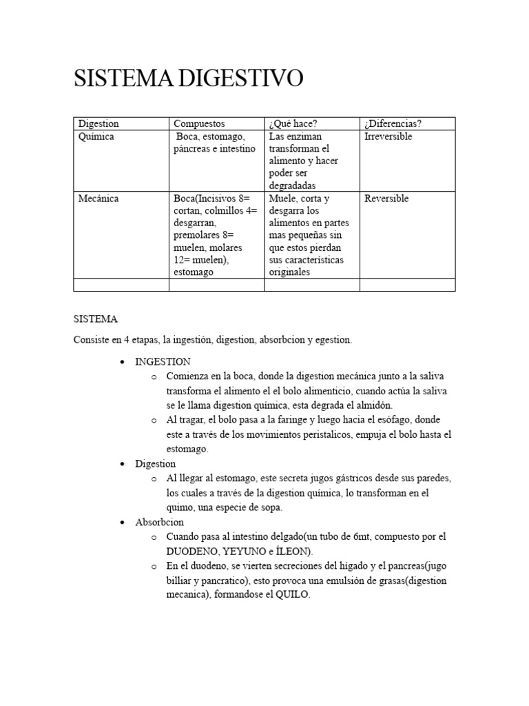 SISTEMA DIGESTIVO 8vo basico | PDF | Digestión | Tracto gastrointestinal SISTEMA DIGESTIVO 8vo basico | PDF | Digestión | Tracto gastrointestinal