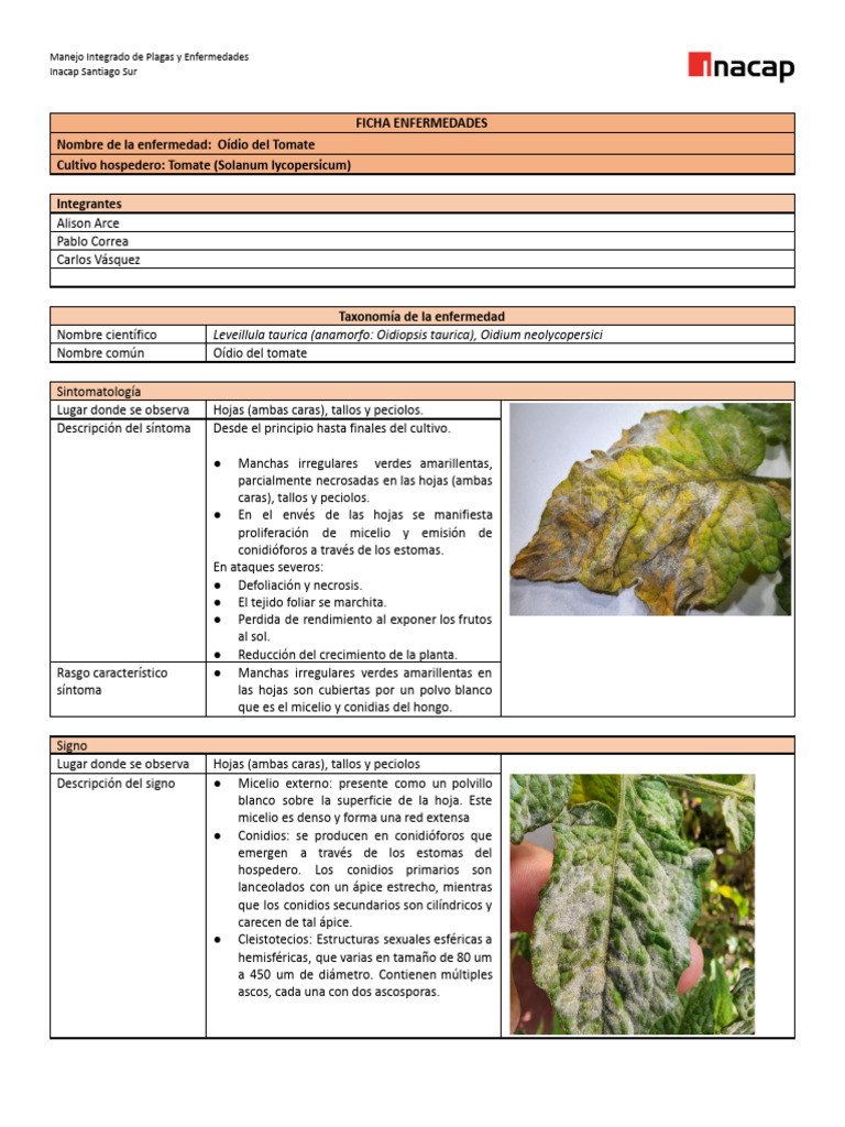 Ficha Enfermedades .Docx | PDF | Hoja | Micología