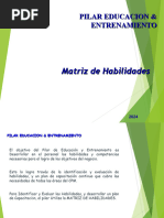 Matriz de Habilidades ILUO en Excel | PDF | Cognición | Conceptos ...