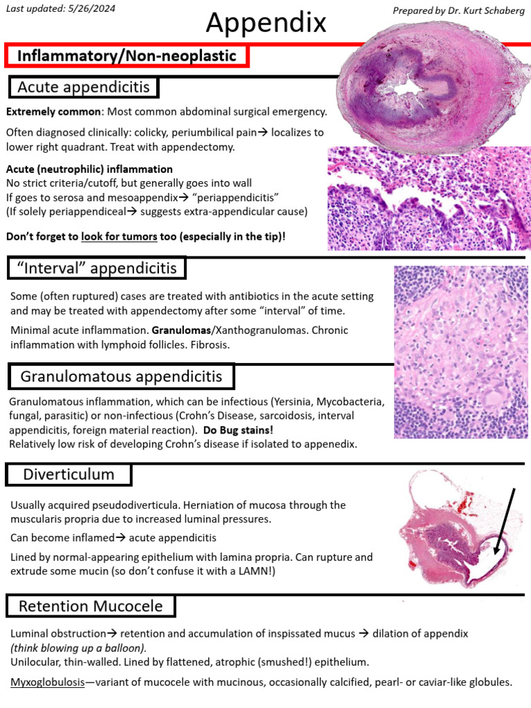 Appendix | PDF | Causes Of Death | Cancer