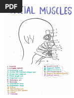 General Anatomy Notes | PDF