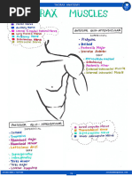 Palmar Space | PDF | Finger | Hand
