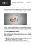 Respiration et branchies des poissons | PDF | Branchie | Physiologie ...