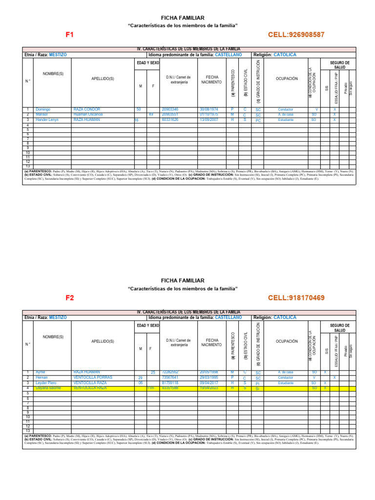 Aps - Ficha Familiar | PDF