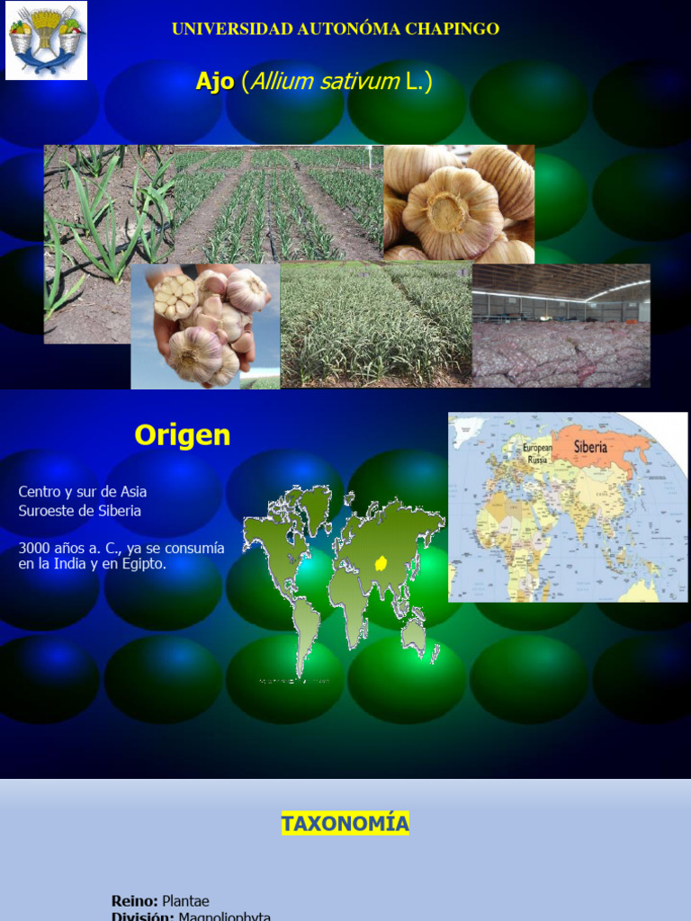 AJO 2019 CVV Ooookkk | PDF | Ajo | Plaga (organismo)