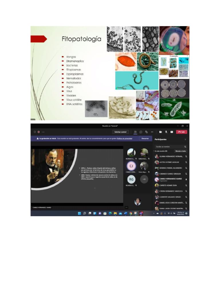 Estructura y Función de Viriones en Virus | PDF | Rna | Adn