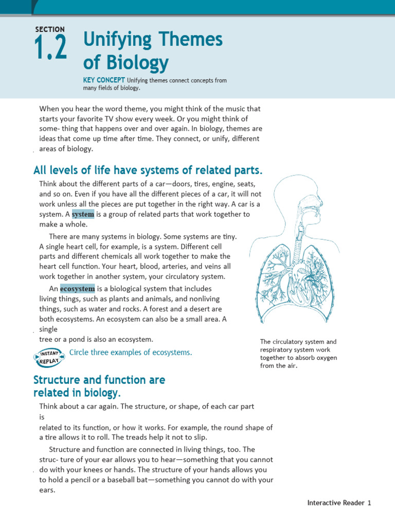 Biology's Unifying Themes Explained | PDF | Adaptation | Evolution