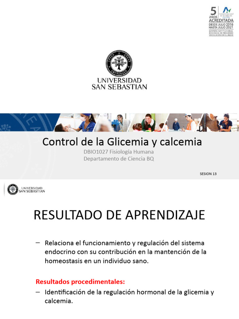 12 SESION Glicemia y Calcemia | Descargar gratis PDF | Insulina | Calcio