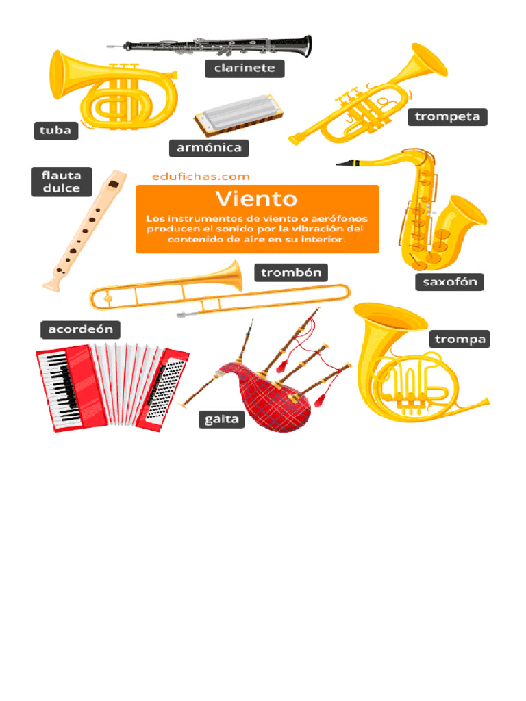 Clasificacion de Los Instrumentos | PDF