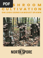 NJUG Publication Volume 1 | PDF | Root | Trees