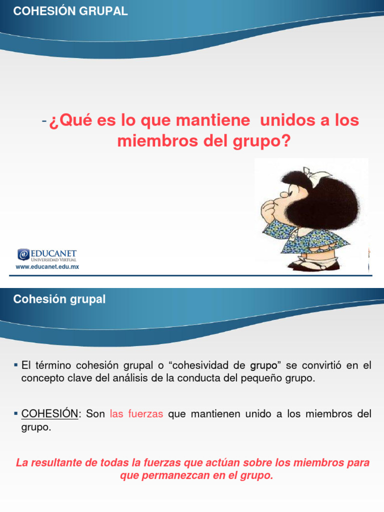 Cohesion Grupal | PDF | Cohesión grupal | Sicología