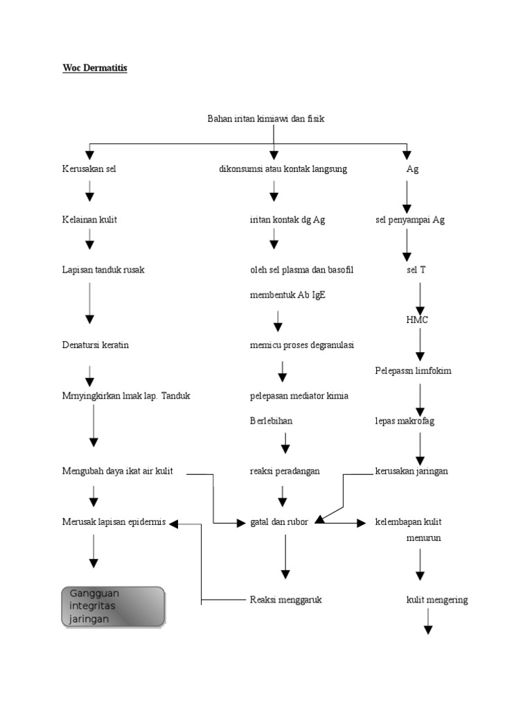 Woc Dermatitis | PDF