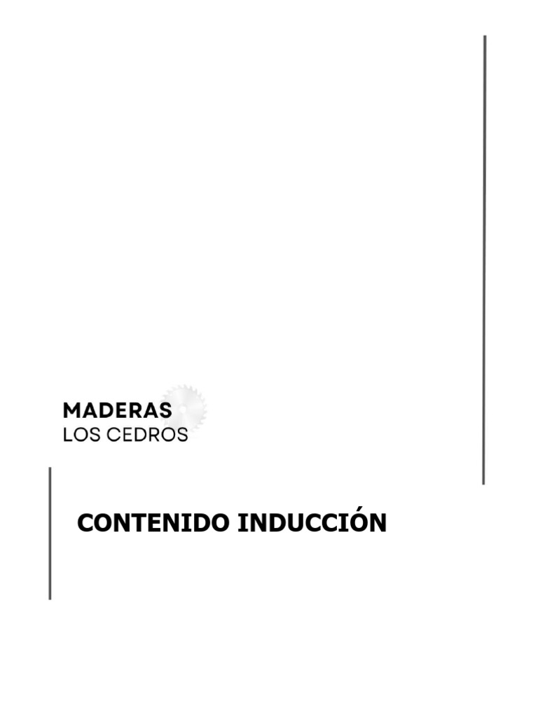 Inducción | PDF | Business