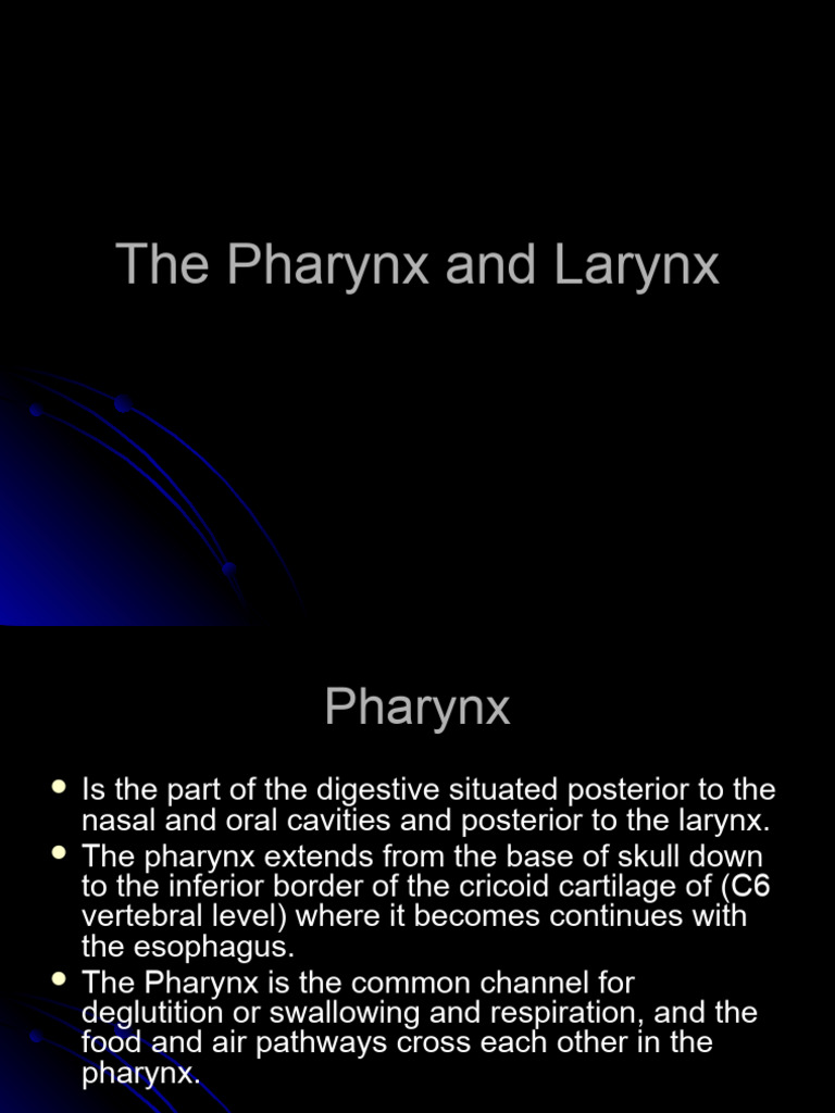 5. The Pharynx and Larynx PPT | PDF | Larynx | Anatomy