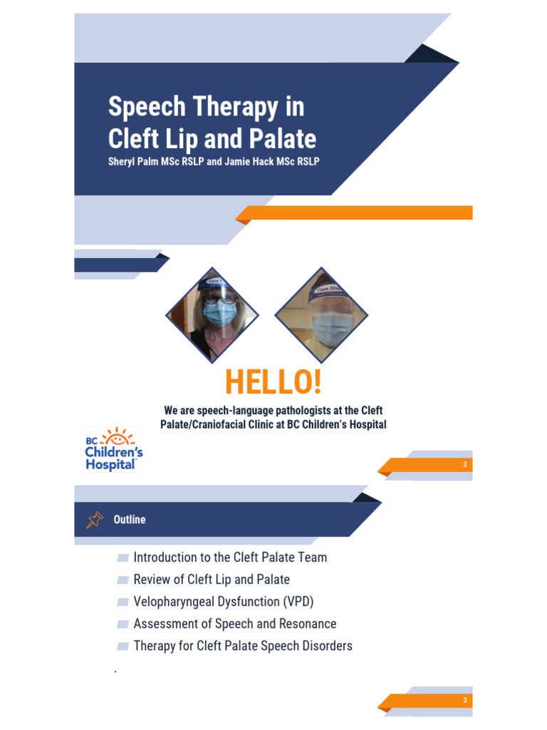 Handouts Treatment of Cleft Palate Speech Disorders Sheryl Palm and ...