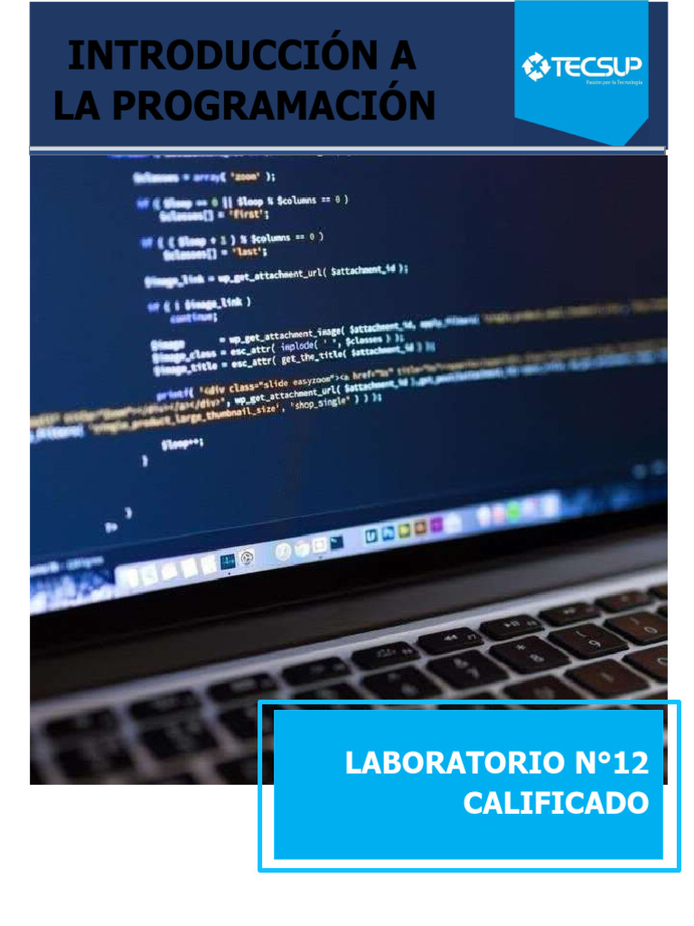Lab12Challco Guzman - Maycol | PDF | Archivo de computadora | Python (lenguaje de programación)