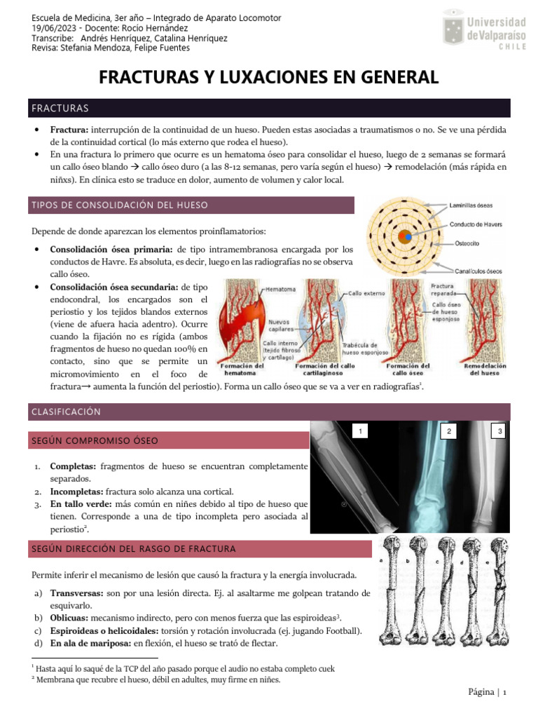 Fracturas y Luxaciones en General | PDF | Hueso | Rodilla