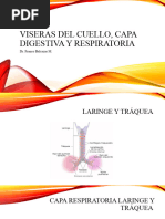 Anatomía de la Faringe y Laringe en Perros | PDF | Laringe ...