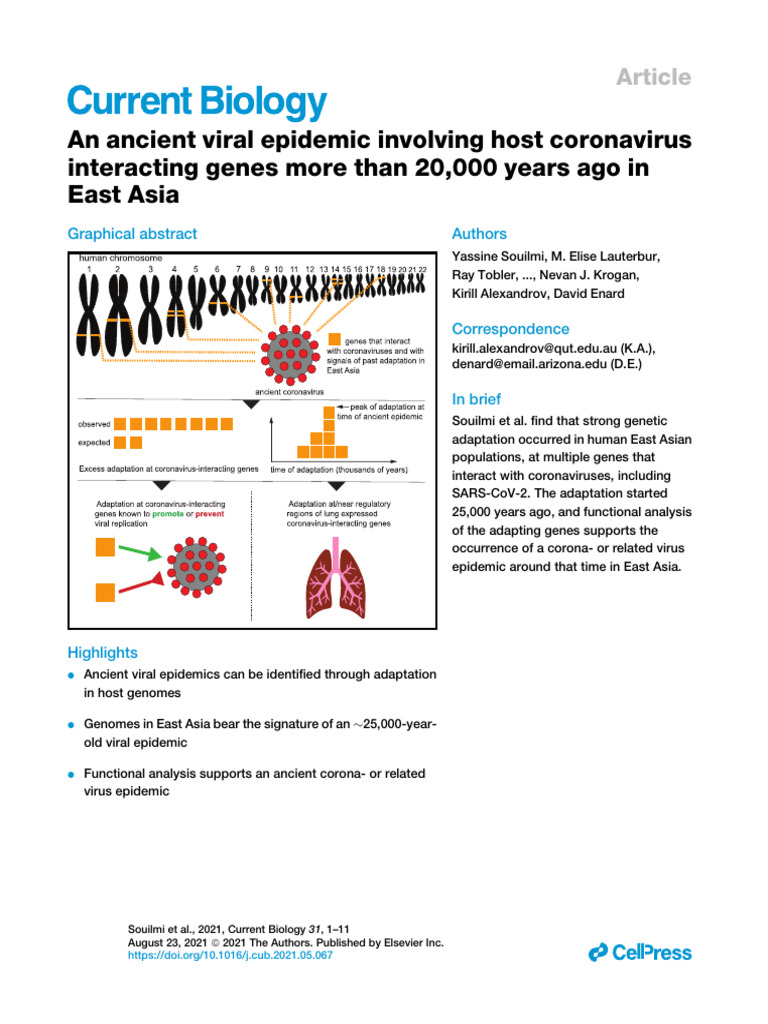 An Ancient Viral Epidemic Involving Host Coronavirus Interacting Genes ...
