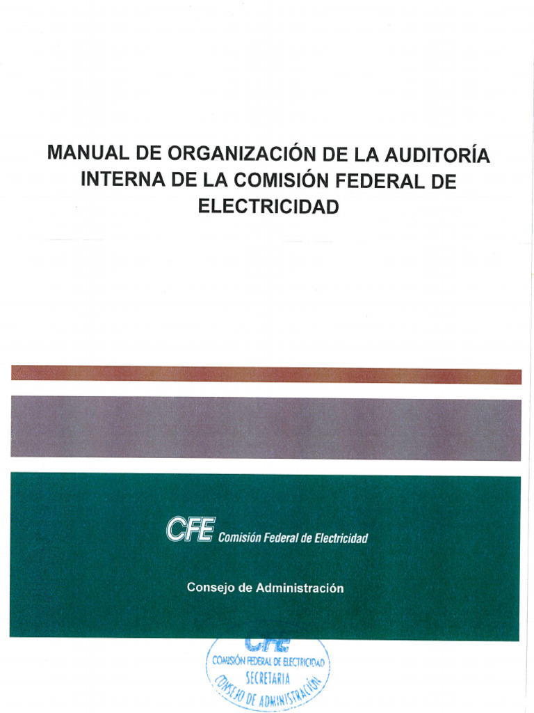 Manual de Organizacion de La Auditoria Interna de La Cfe | PDF