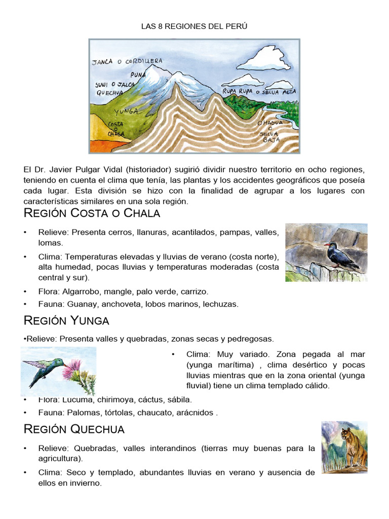 Las 8 Regiones Naturales del Perú | PDF | Clima | Ciencias de la Tierra
